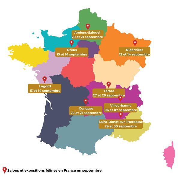 Salons du chat et expositions félines près de chez vous